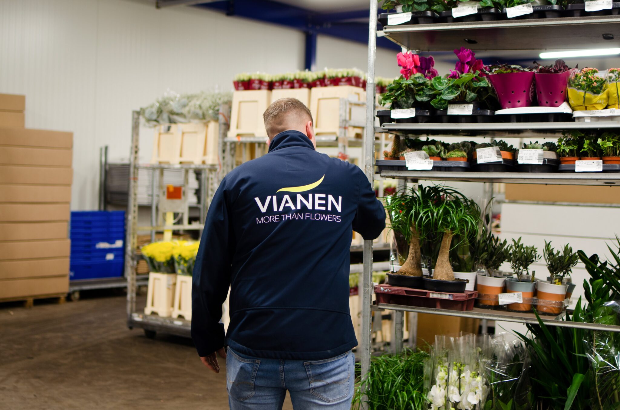Werken bij - Vianen Flowers