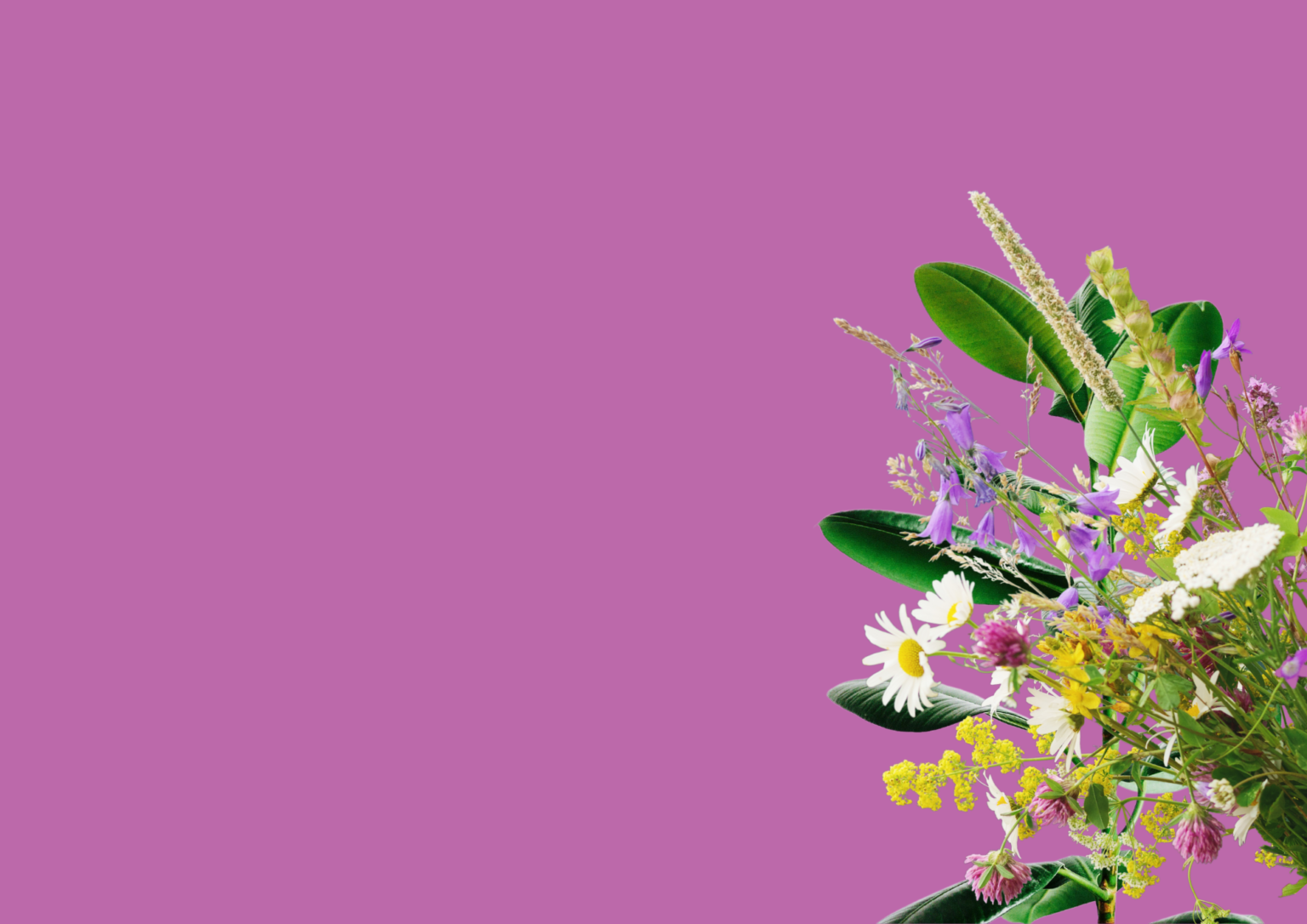 Blumen - Vianen Flowers